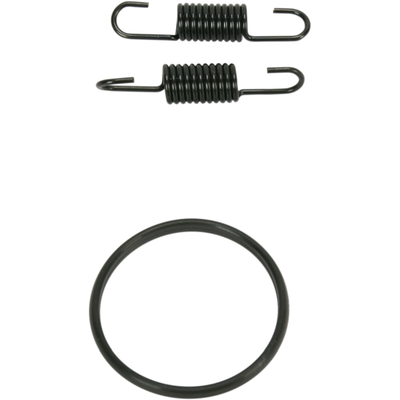 Spring and O-Ring Kit - RM250